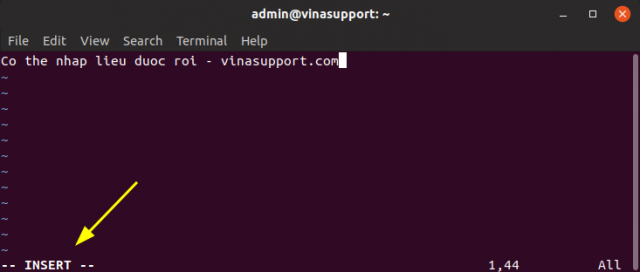 Hướng dẫn sử dụng cơ bản lệnh vi editor trên Linux - VinaSupport