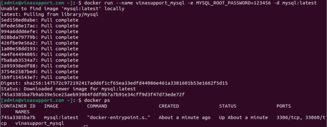 [DevOps] Hướng dẫn docker hóa MySQL - VinaSupport