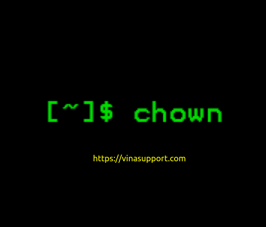 Chown là gì? Hướng dẫn sử dụng lệnh chown trên Linux - VinaSupport